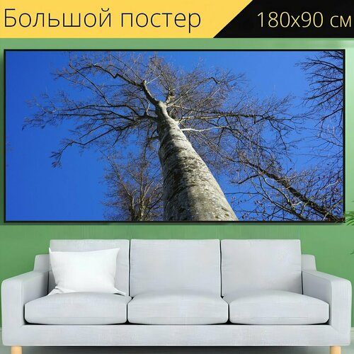 Большой постер "Бук, зимний лес, холодный" 180 x 90 см. для интерьера