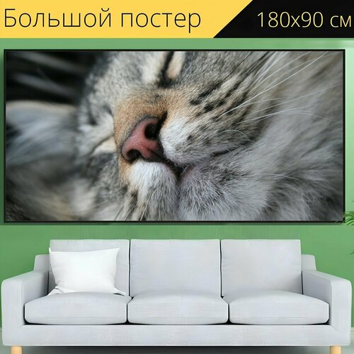 Большой постер "Кот, спать, домашнее животное" 180 x 90 см. для интерьера