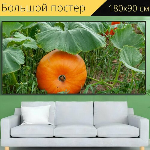 Большой постер "Тыква, овощ, овощной сад" 180 x 90 см. для интерьера