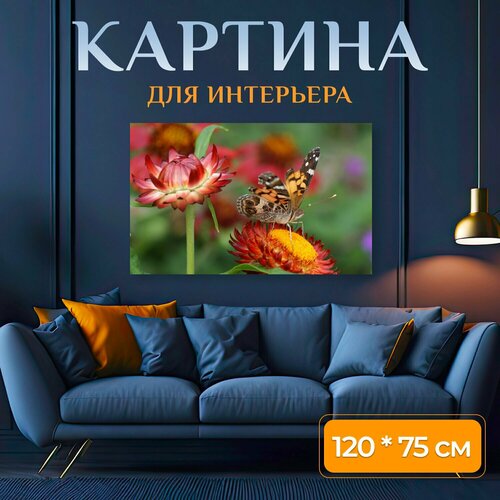 Картина на холсте "Цветы, бабочка, макро" на подрамнике 120х75 см. для интерьера