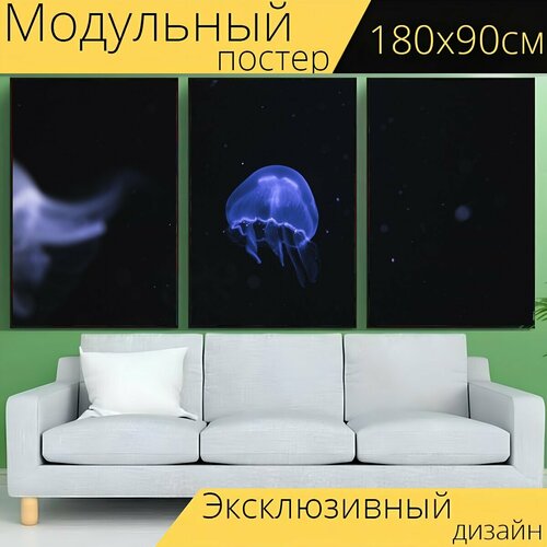 Модульный постер "Темный, вода, медуза" 180 x 90 см. для интерьера