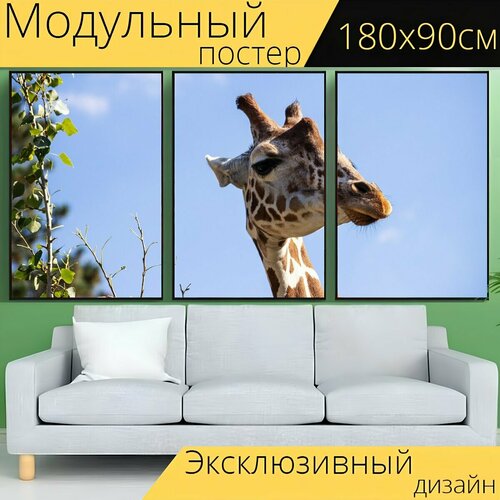 Модульный постер "Жирафа, млекопитающее, животное" 180 x 90 см. для интерьера