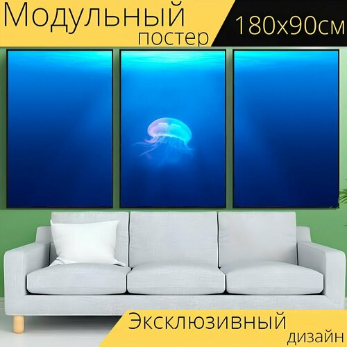 Модульный постер "Медуза, дикая природа, животное" 180 x 90 см. для интерьера