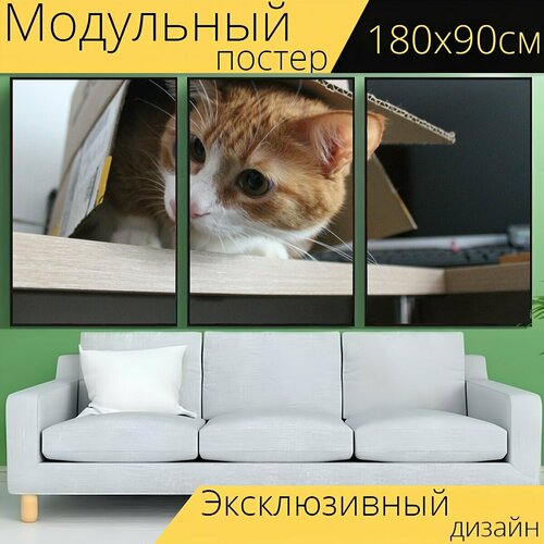 Модульный постер "Коробка, китти, кошка" 180 x 90 см. для интерьера