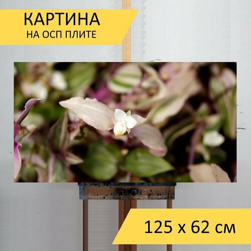 Картина на ОСП 125х62 см. "Цветок, белый, сад" горизонтальная, для интерьера, с креплениями