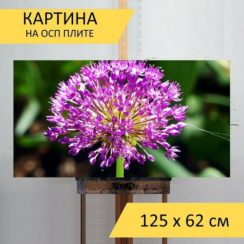Картина на ОСП 125х62 см. "Весенний цветок, фиолетовый, природа" горизонтальная, для интерьера, с креплениями