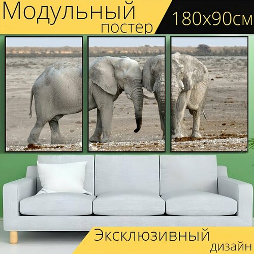 Модульный постер "Слон, африке, намибия" 180 x 90 см. для интерьера