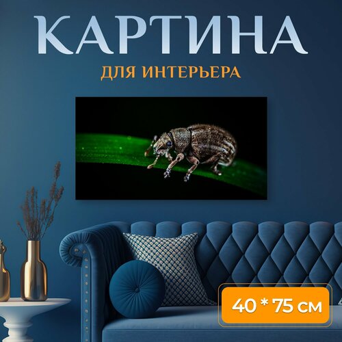 Картина на холсте "Жук, насекомое, беспозвоночное" на подрамнике 75х40 см. для интерьера