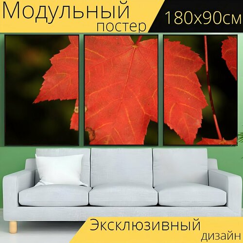 Модульный постер "Падение, осень, листья" 180 x 90 см. для интерьера