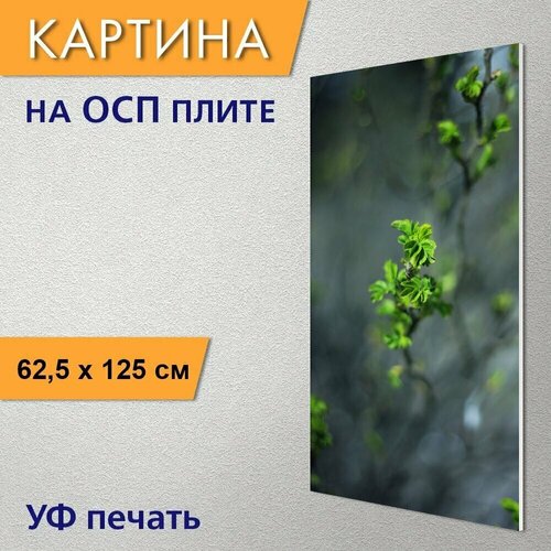 Вертикальная картина на ОСП "Зеленый, лист, завод" 62x125 см. для интерьериа