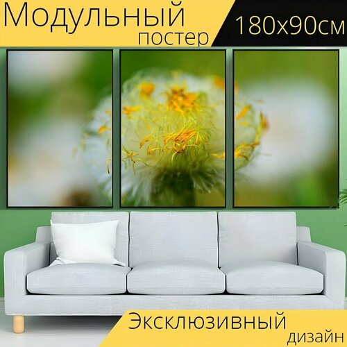 Модульный постер "Одуванчик, цветок, дождевик" 180 x 90 см. для интерьера