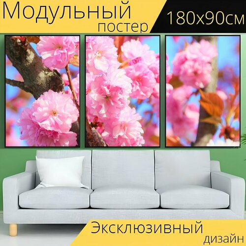 Модульный постер "Цветы, вишня, весна" 180 x 90 см. для интерьера