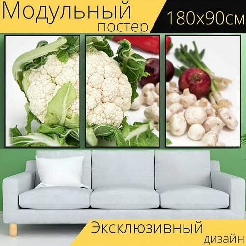 Модульный постер "Цветная капуста, овощи, грибы" 180 x 90 см. для интерьера