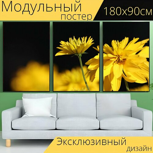 Модульный постер "Хризантема, хризантемы, цветок" 180 x 90 см. для интерьера