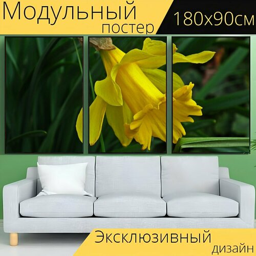Модульный постер "Нарцисс, желтый цветок, пасха" 180 x 90 см. для интерьера