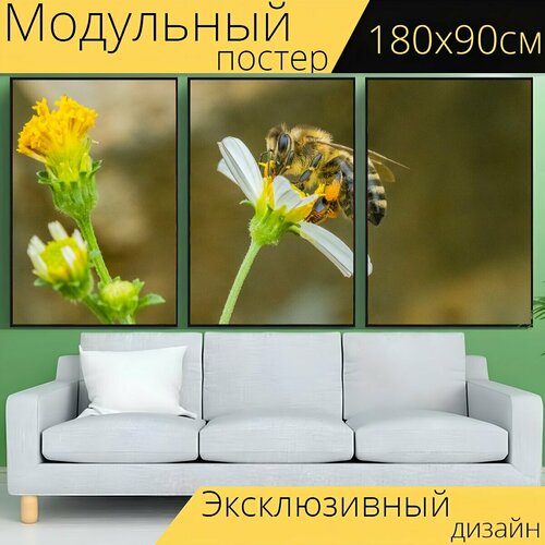Модульный постер "Макрос, цветок, пчелка" 180 x 90 см. для интерьера