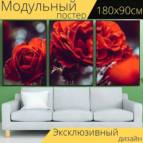 Модульный постер "Роза, красный, благородный" 180 x 90 см. для интерьера