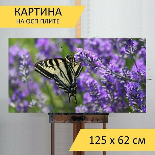 Картина на ОСП 125х62 см. "Парусники бабочки, насекомое, природа" горизонтальная, для интерьера, с креплениями