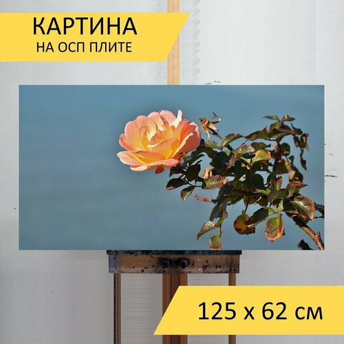 Картина на ОСП 125х62 см. "Розы, цветок, природа" горизонтальная, для интерьера, с креплениями