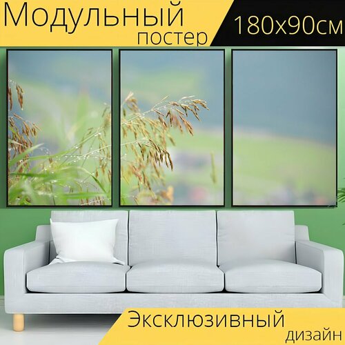 Модульный постер "Трава, луг, пейзаж" 180 x 90 см. для интерьера