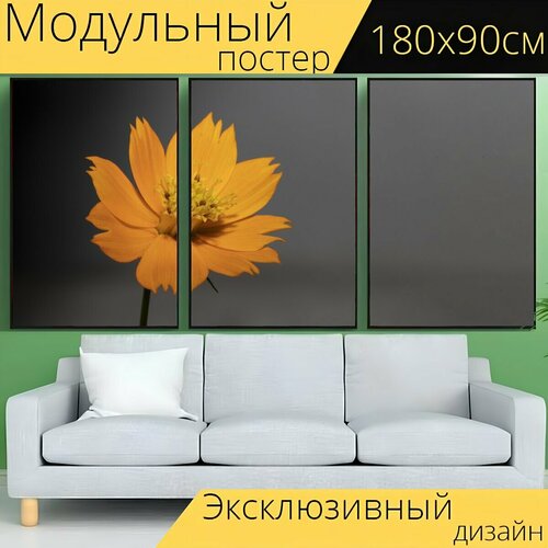 Модульный постер "Цветок, хризантема, графика" 180 x 90 см. для интерьера