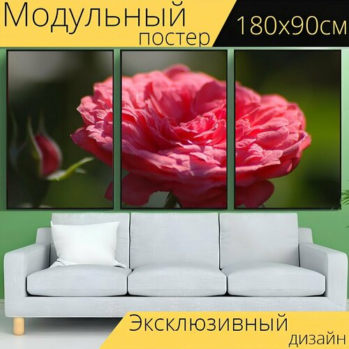 Модульный постер "Розовый, роза, свет" 180 x 90 см. для интерьера