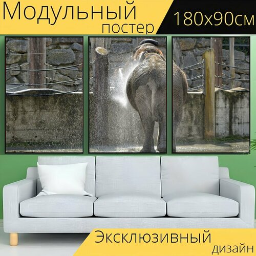 Модульный постер "Слон, зоопарк, красивый колодец" 180 x 90 см. для интерьера