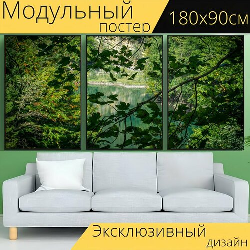 Модульный постер "Природа, лес, посмотреть" 180 x 90 см. для интерьера