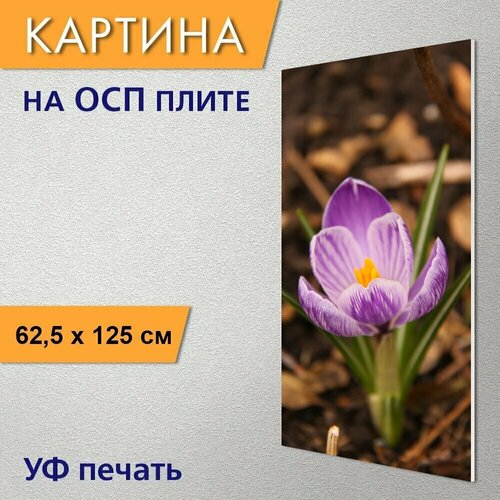 Вертикальная картина на ОСП "Крокус, фиолетовый, цветок" 62x125 см. для интерьериа