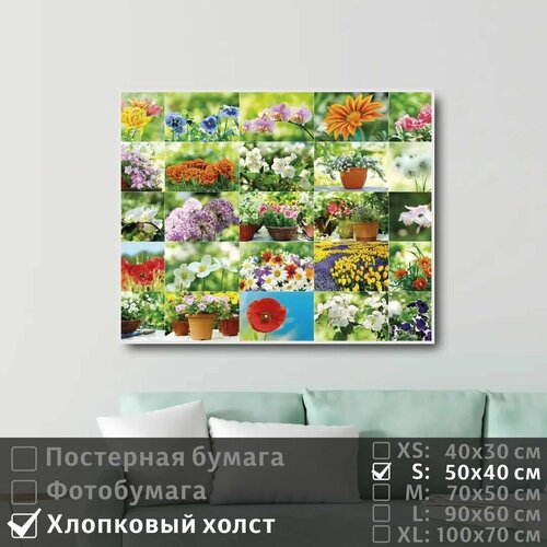 Постер на холсте Коллаж Из Красивых Цветов 50х40 см ПолиЦентр