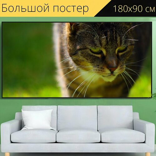Большой постер "Кот, домашнее животное, котенок" 180 x 90 см. для интерьера