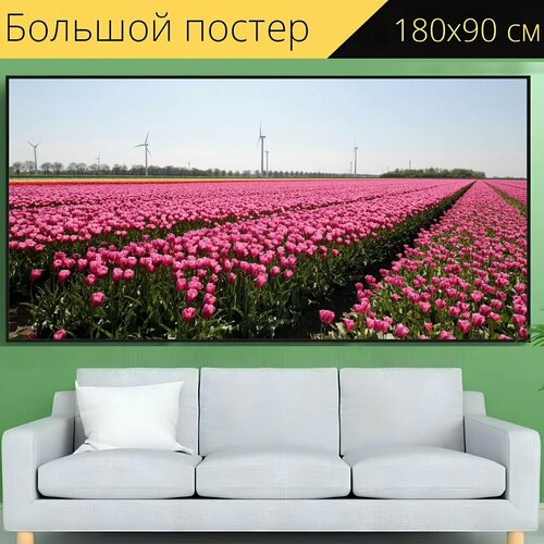 Большой постер "Поля тюльпанов, тюльпан, цвести" 180 x 90 см. для интерьера