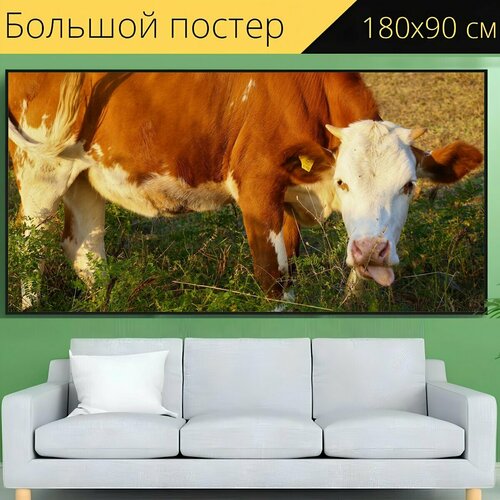 Большой постер "Корова, животное, природа" 180 x 90 см. для интерьера