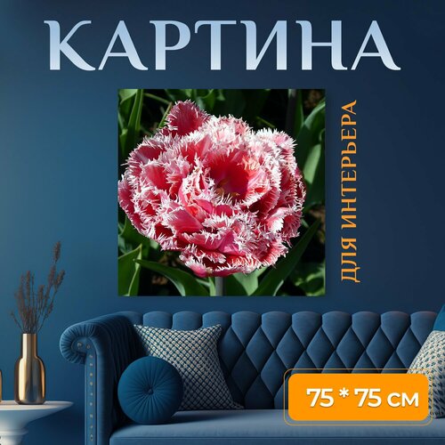 Картина на холсте "Тюльпан, цветок, розовый" на подрамнике 75х75 см. для интерьера