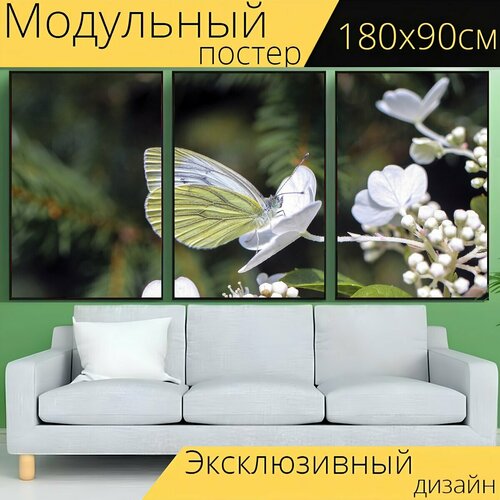 Модульный постер "Бабочка, насекомое, опыление" 180 x 90 см. для интерьера