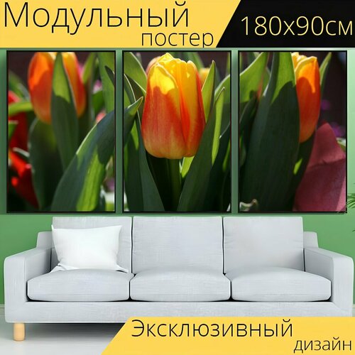 Модульный постер "Тюльпаны, апельсин, весна" 180 x 90 см. для интерьера