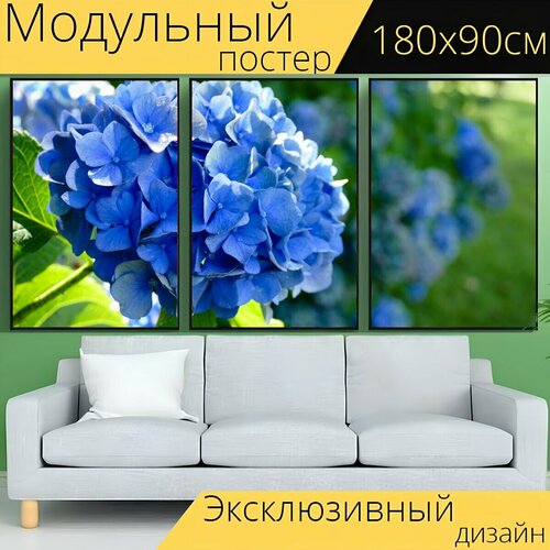 Модульный постер "Гортензия, синий, цветок" 180 x 90 см. для интерьера