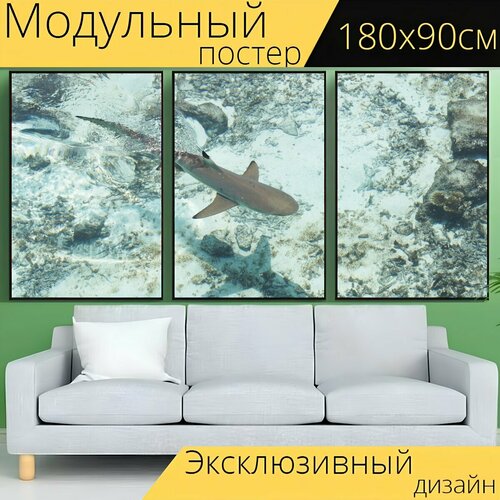 Модульный постер "Океан, акула, воды" 180 x 90 см. для интерьера