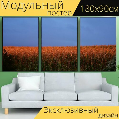 Модульный постер "Заход солнца, кукуруза, кукурузное поле" 180 x 90 см. для интерьера