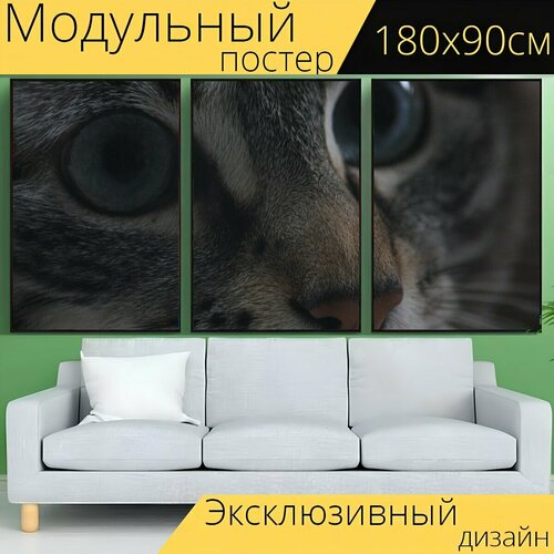 Модульный постер "Портрет, кошка, кот" 180 x 90 см. для интерьера