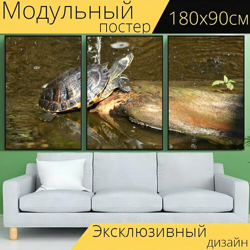 Модульный постер "Черепаха, вода, плавать" 180 x 90 см. для интерьера