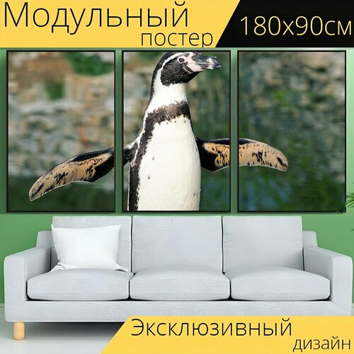 Модульный постер "Пингвин, птица, животное" 180 x 90 см. для интерьера