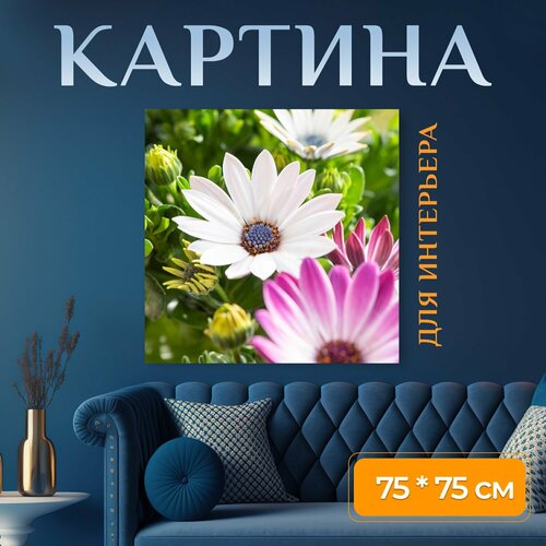 Картина на холсте "Цветок, сад, цвести" на подрамнике 75х75 см. для интерьера