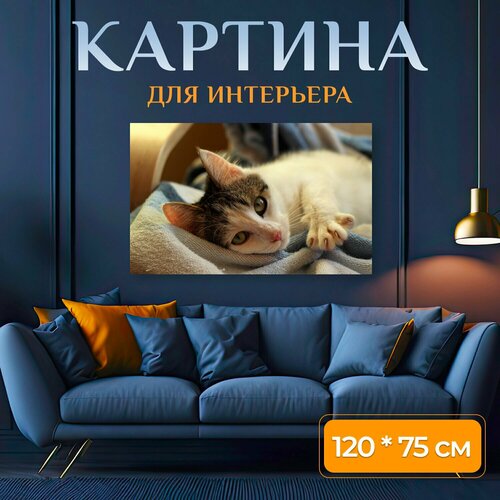 Картина на холсте "Кот, врущий, коготь" на подрамнике 120х75 см. для интерьера