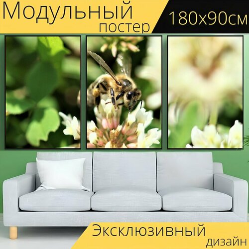 Модульный постер "Пчела, насекомое, завод" 180 x 90 см. для интерьера