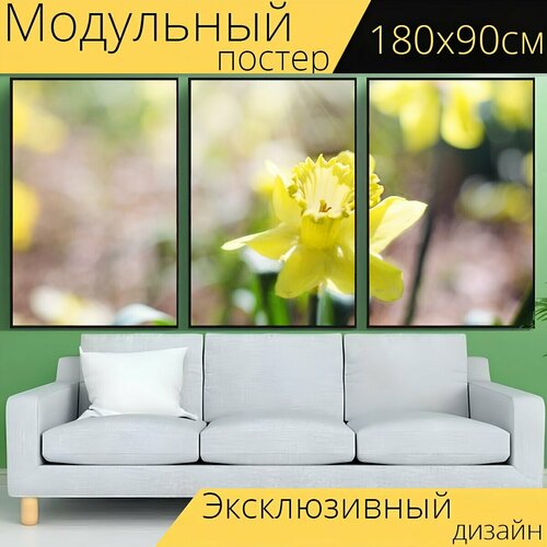 Модульный постер "Нарцисс, весна, цветы желтые цветы" 180 x 90 см. для интерьера