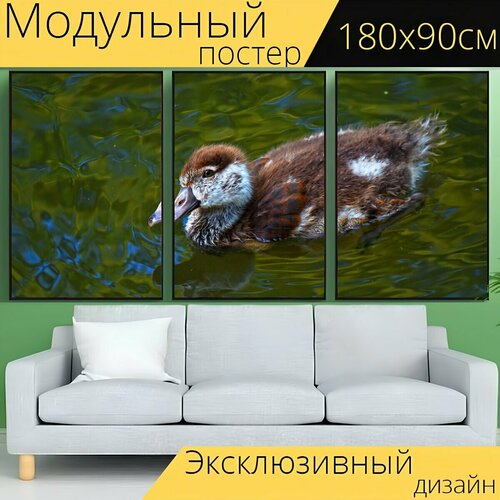 Модульный постер "Нил гусь, цыпленок, водоплавающая птица" 180 x 90 см. для интерьера