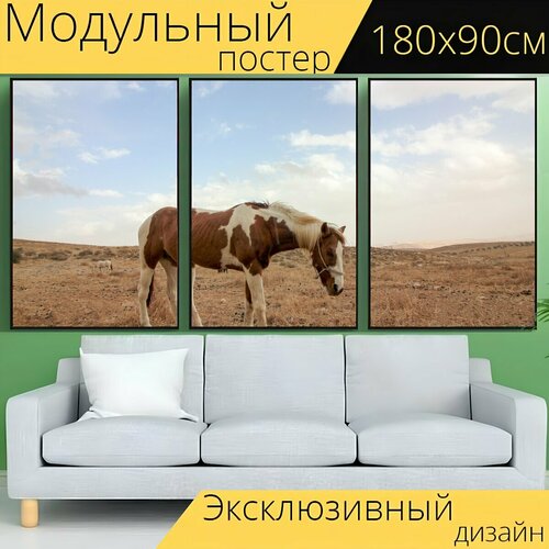 Модульный постер "Лошадь, животные, природа" 180 x 90 см. для интерьера