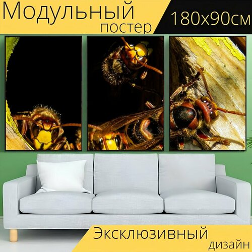 Модульный постер "Животные, хорнетс, насекомое" 180 x 90 см. для интерьера