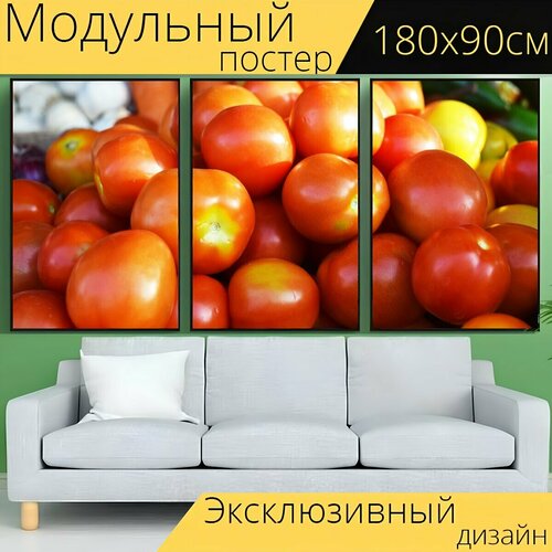 Модульный постер "Помидор, помидоры, еда" 180 x 90 см. для интерьера